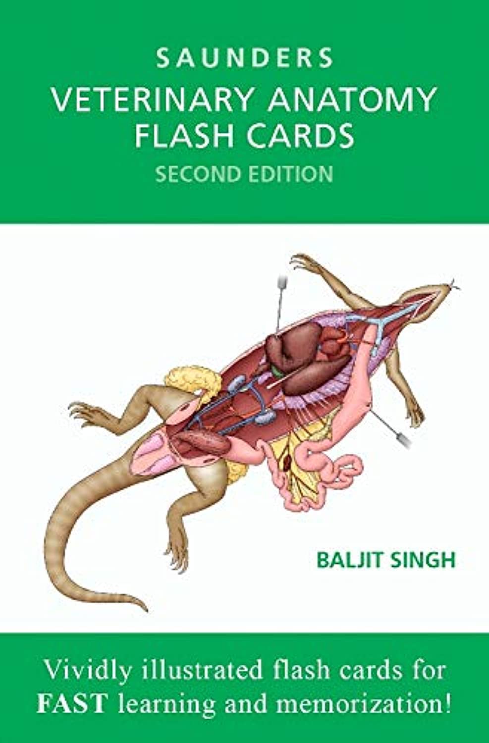 Veterinary Anatomy Flash Cards 2nd Edition – Medicalreaders