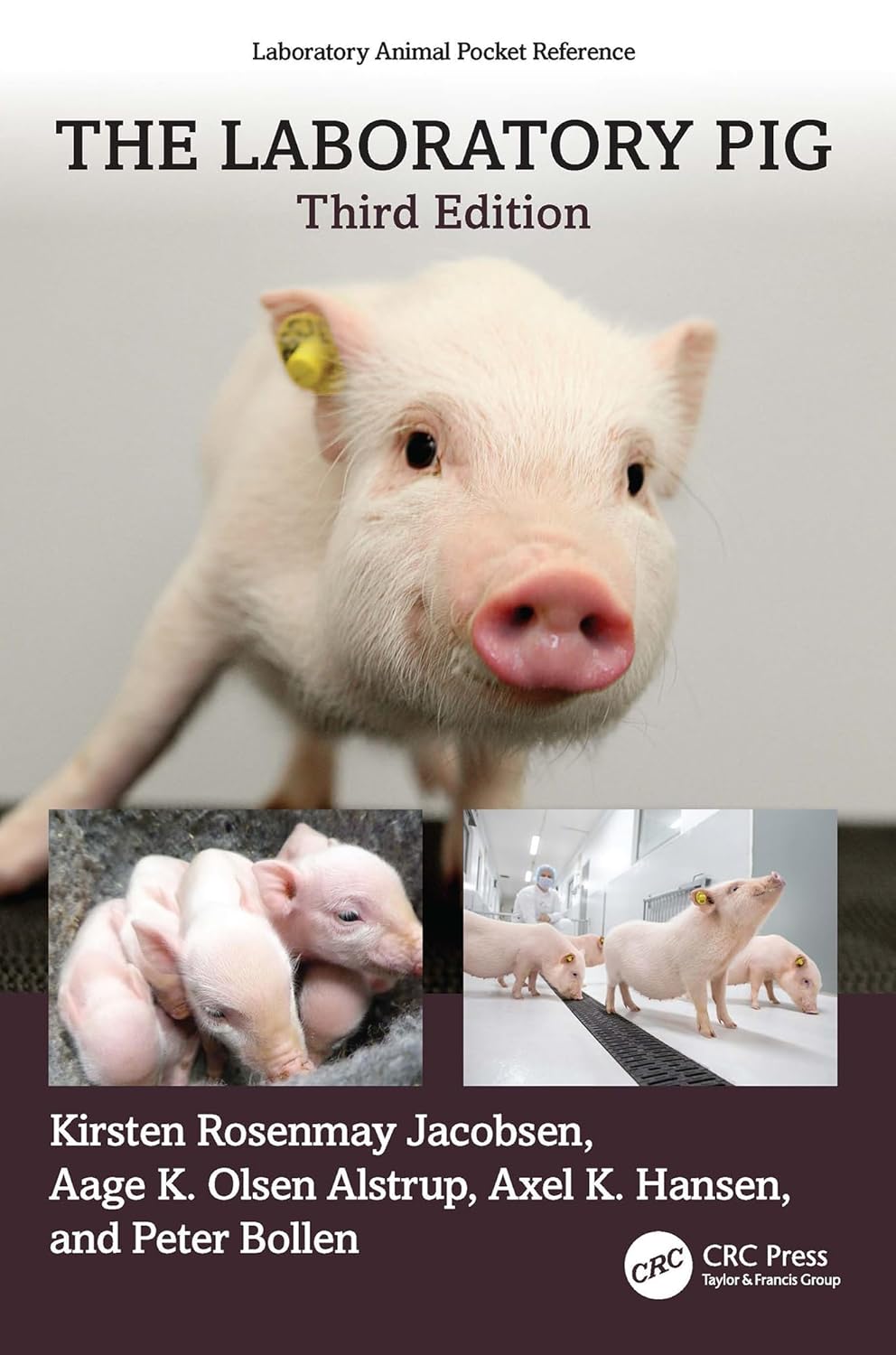[February 14, 2025] The Laboratory Pig (Laboratory Animal Pocket Refer ...
